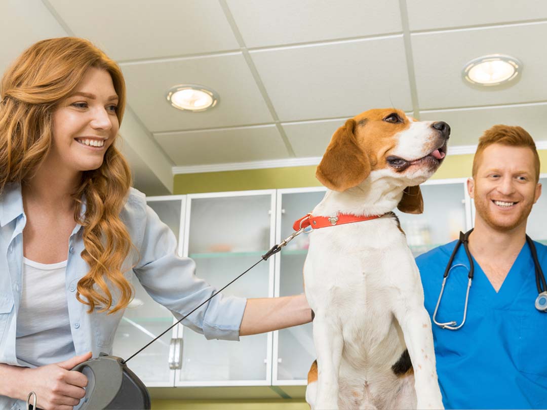 Keep the client conversation going | Marketing advice