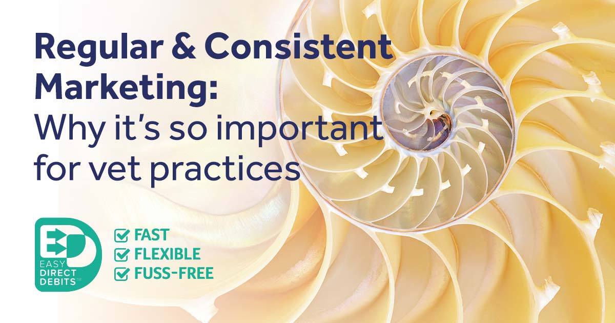 Why regular and consistent marketing is important | VetSuccess