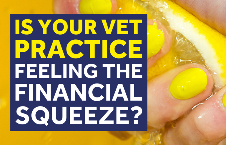 VetSuccess® – Direct Debit Collections for Vets